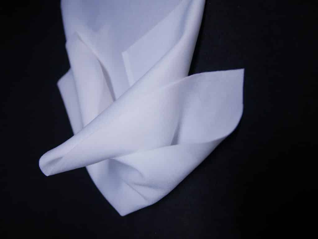 Polyester Wipes - INNOPURE